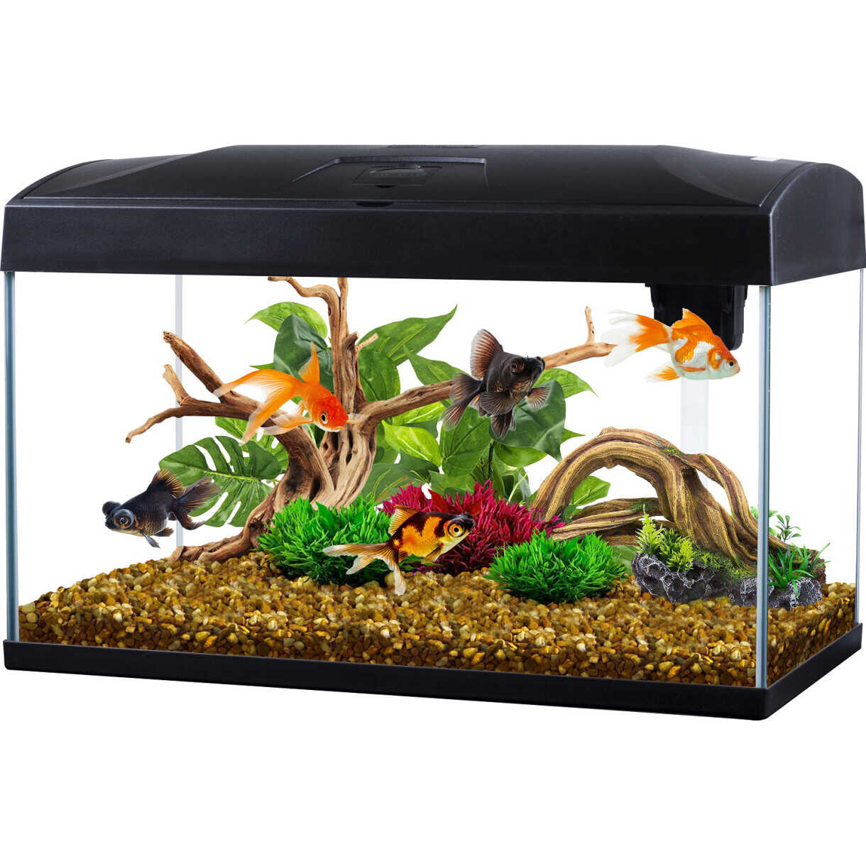 Rect Aquarium - 54 liters akvarie startersæt – MEGApetshop